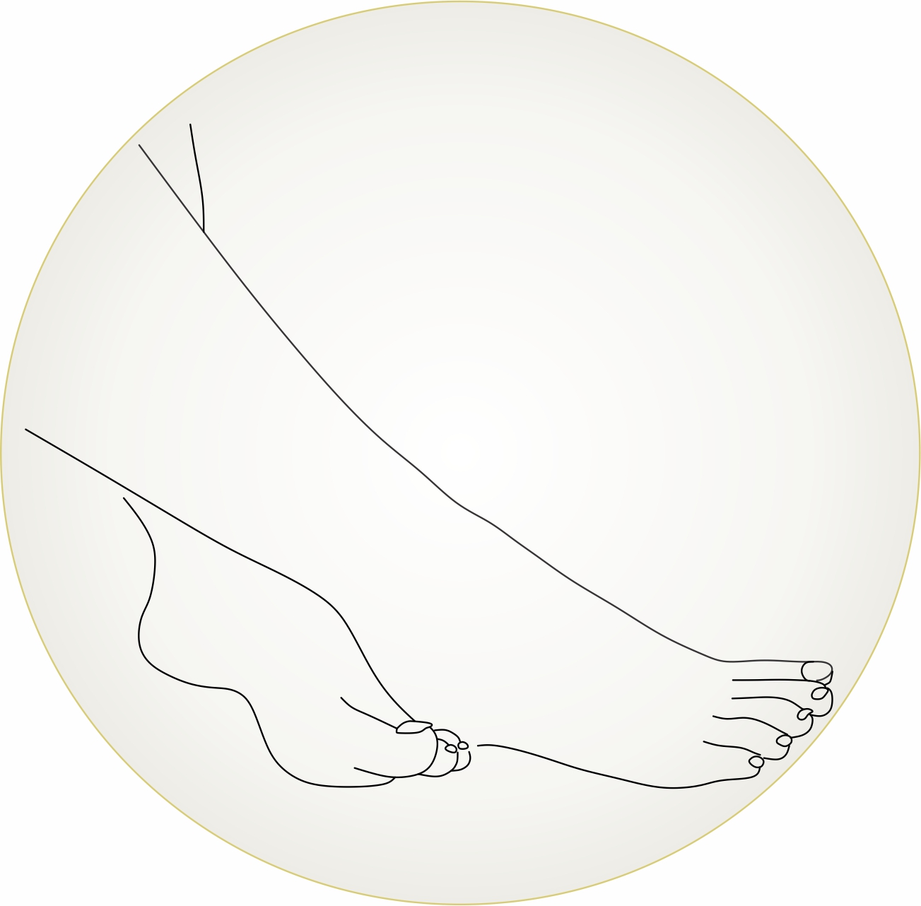 PLANTILLAS CONFORT FLEX | Plantillas y Taloneras